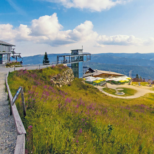 Bayerischer Wald | Humboldt ReiseWelt